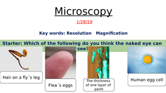 Edexcel I A Level Biology - Light Microcope unit and Core Practical ...