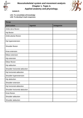 A-Level PE. Musculoskeletal System and Analysis of Movement (Chapter 1. ...