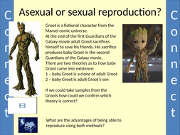 Reebops powerpoint and resources | Teaching Resources