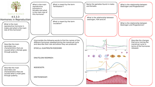 Hormonal Coordination (Reproduction) - AQA Science Trilogy (Biology ...
