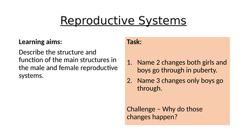 KS3 Reproductive Systems | Teaching Resources
