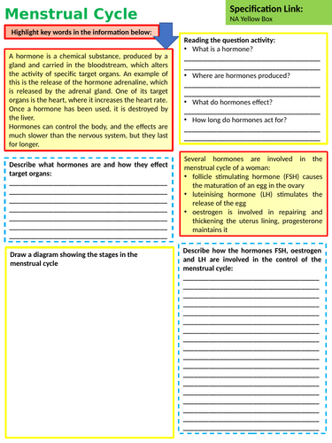 FREE GCSE Biology (Science) Menstrual Cycle Practice Exam Question ...