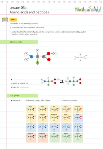 SNAB Biology Topic 2 - Lesson 3a (Amino acids and peptides) – WS, PPT ...