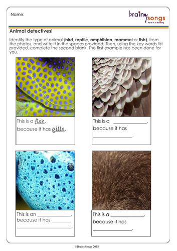 ANIMALS INCLUDING HUMANS for Year 1 | Teaching Resources