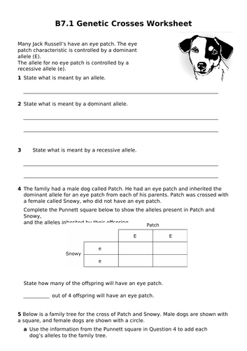Activate KS3 Science- B7 Genetics & New Technology | Teaching Resources