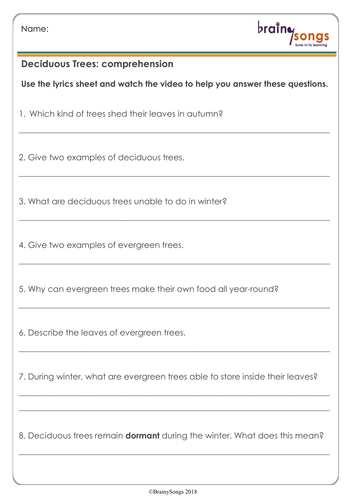Types Of Trees Deciduous And Evergreen For Year 1 Teaching Resources