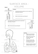 Surface Area / Volume Ratio (Year 12 A Level Biology) AQA | Teaching ...