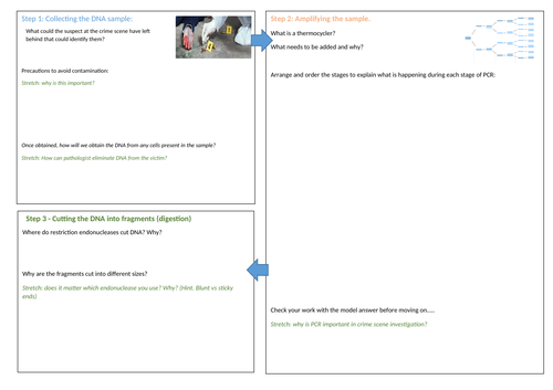Genetic Fingerprinting (including PCR and gel electrophoresis ...