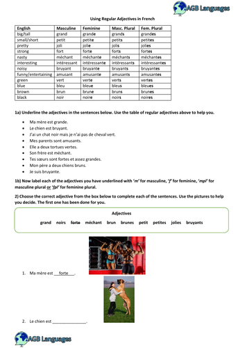 French Regular Adjectives | Teaching Resources