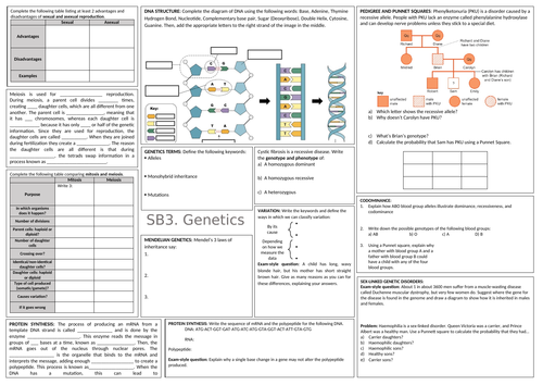 Genetics Revision Mat Worksheet (SB3 Genetics Edexcel) | Teaching Resources