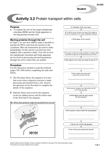 Protein transport AS Biology | Teaching Resources