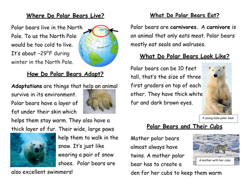 Mini Polar Bear Book with Fact and Opinion Activity | Teaching Resources