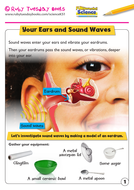 Create a model ear drum experiment | Teaching Resources