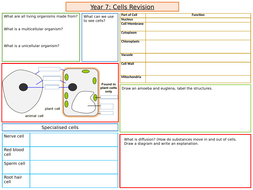 KS3, Year 7: Cells Revision Sheet | Teaching Resources