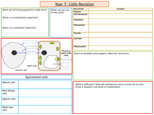 KS3, Year 7: Cells Revision Sheet | Teaching Resources