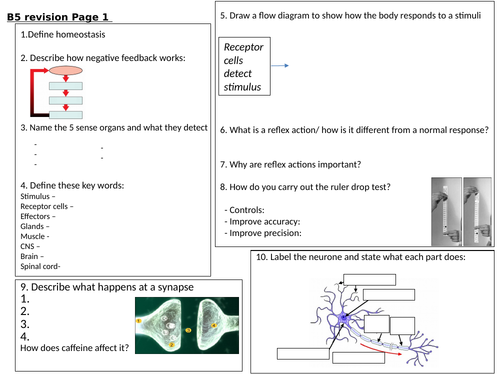 GCSE 9-1 Revision Biology AQA Unit 5 Revision Mats | Teaching Resources