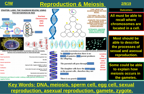 Sexual & Asexual Reproduction, DNA & Meiosis | AQA B2 4.6 | New Spec 9 ...