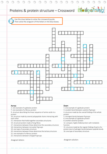 SNAB Biology Topic 2 - Lesson 3b (Proteins and Protein Structure) – WS ...