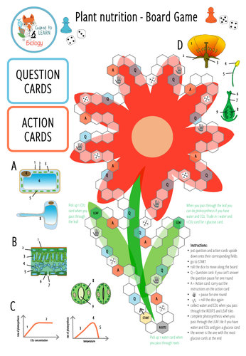 Photosynthesis & Plant Nutrition - Board Game (KS3/4) | Teaching Resources