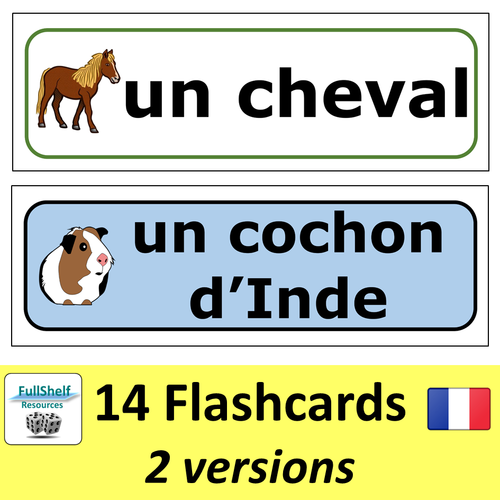 French Pets Presentation | Teaching Resources