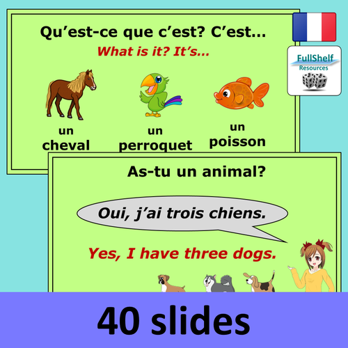 French Pets Presentation | Teaching Resources