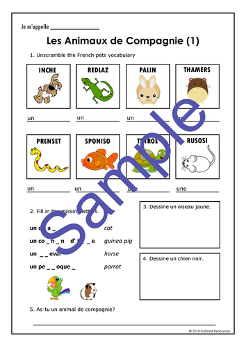 French Pets Worksheets | Teaching Resources