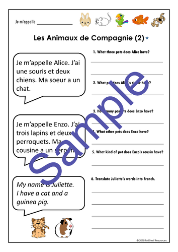 French Pets Worksheets | Teaching Resources
