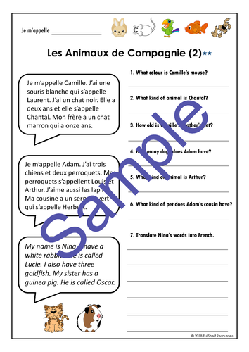 French Pets Worksheets | Teaching Resources