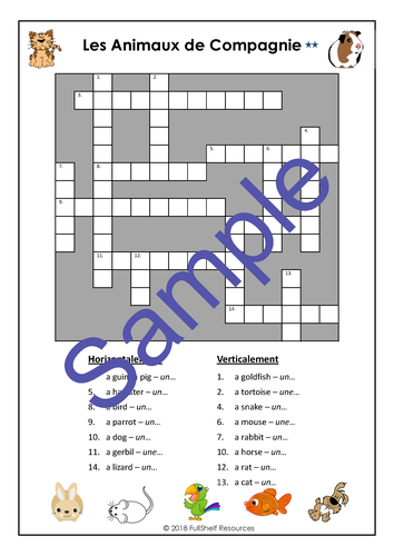 French Pets Worksheets | Teaching Resources