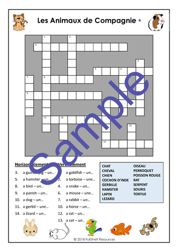 French Pets Worksheets | Teaching Resources