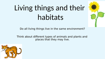 Year 2 Science- Habitats, micro habitats and adaptation | Teaching ...