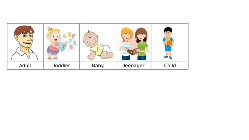Year 2 Science. Animals, Including Humans. Lesson 5. Human life-cycle ...