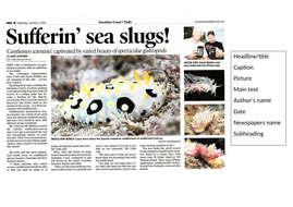 The Charge of the Light Brigade (Poetry power and conflict) | Teaching ...