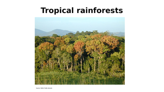 Tropical rainforest introduction | Teaching Resources