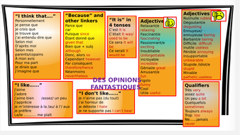 Simple opinions in French | Teaching Resources