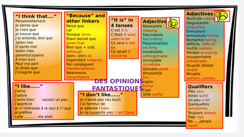 Simple opinions in French | Teaching Resources