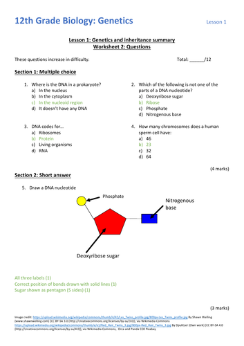 Flipped Blended Learning Post-16 Genetics Introduction Lesson (IB Topic ...
