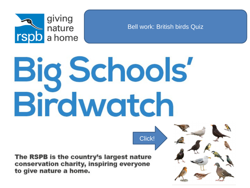 RSPB big school birdwatch lesson power point with cross curricular art ...