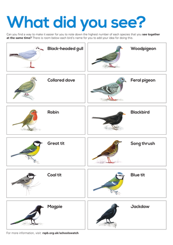 RSPB big school birdwatch lesson power point with cross curricular art ...