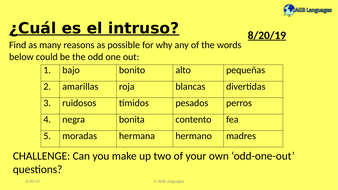 Spanish Odd-One-Out Starter | Teaching Resources