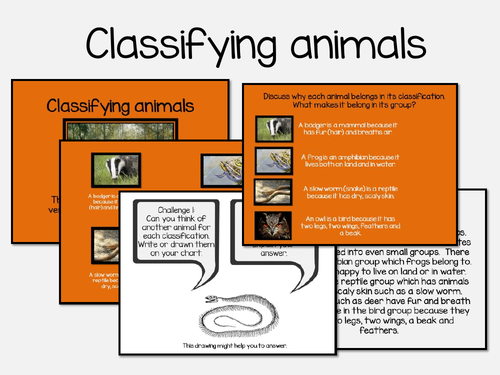 Classifying animals part 2 - year 2 | Teaching Resources