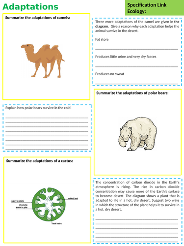 FREE GCSE Biology (Science) Adaptations Practice Exam Question ...