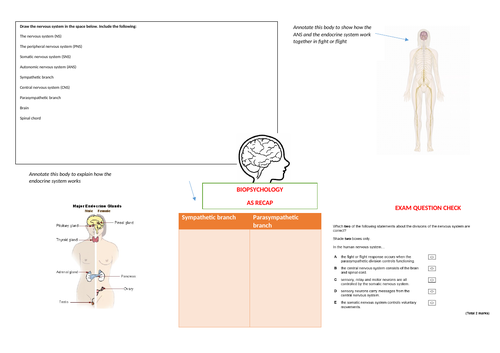 AQA Psychology- Biopsychology, Nervous System AS- What have you ...