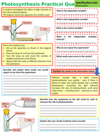 FREE GCSE Biology (Science) Photosynthesis Investigation Practice Exam ...