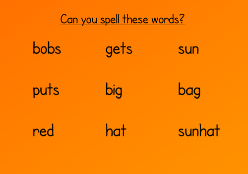 Initial Sounds And Three Letter Words: Zoggy In The Sun | Teaching ...