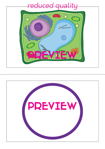 English Spelling and Phonics Pack - S sound spelled C as in city (s ...