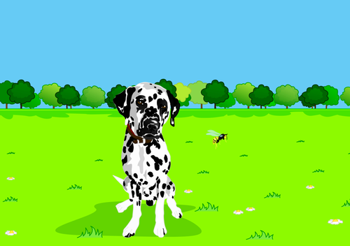 Initial Consonant Blends & Digraphs: Zoggy, Dan And The Dog | Teaching ...