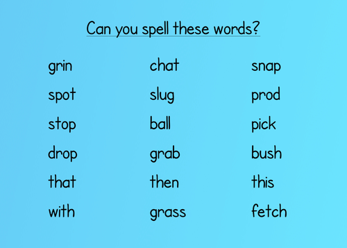 Initial Consonant Blends & Digraphs: Zoggy, Dan And The Dog | Teaching ...