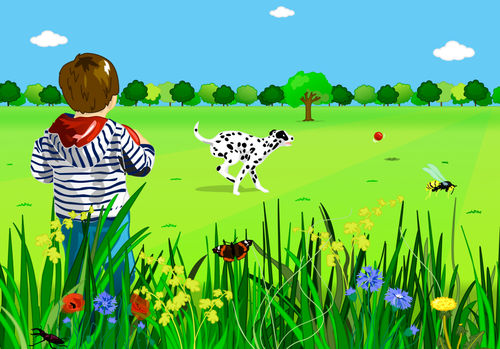 Initial Consonant Blends & Digraphs: Zoggy, Dan And The Dog | Teaching ...