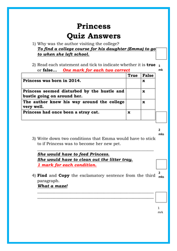 Year 5/6 Reading Comprehension: Princess - adopting a cat. | Teaching ...